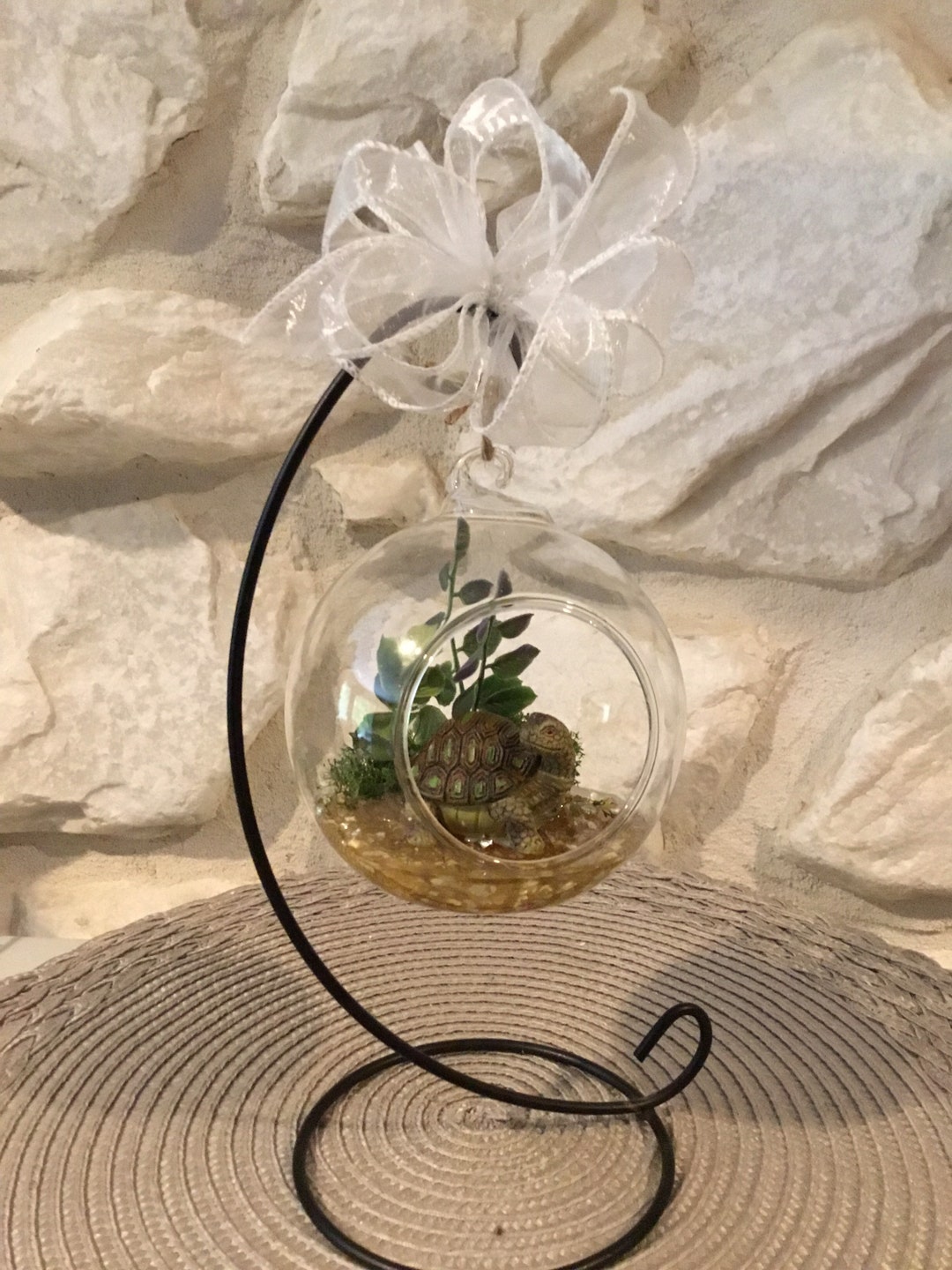 Tortoise Globe - Etsy