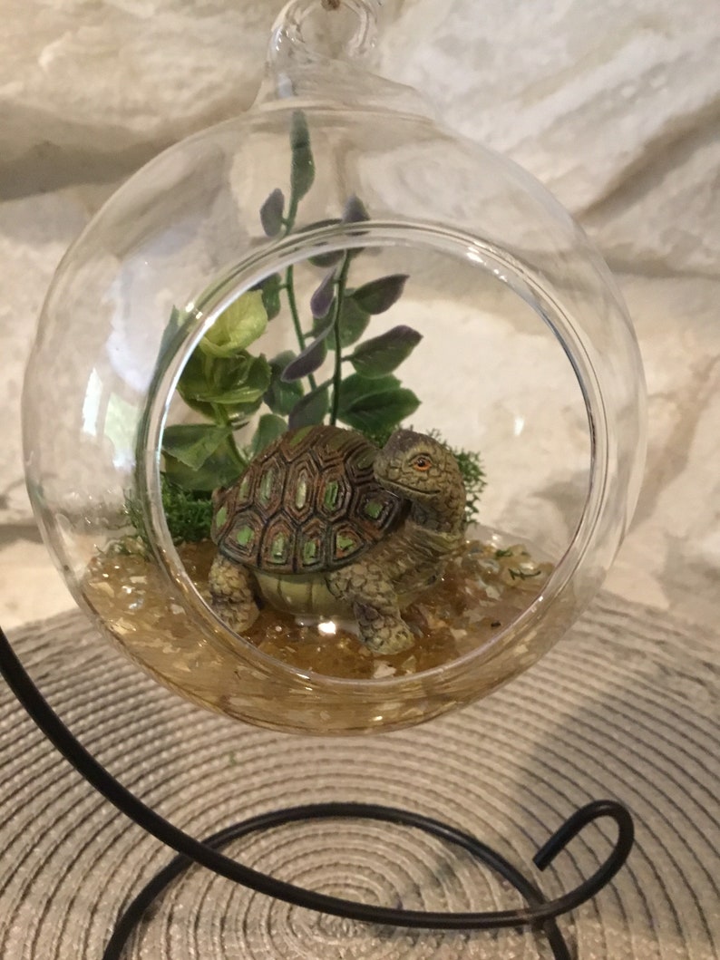 Tortoise Globe - Etsy