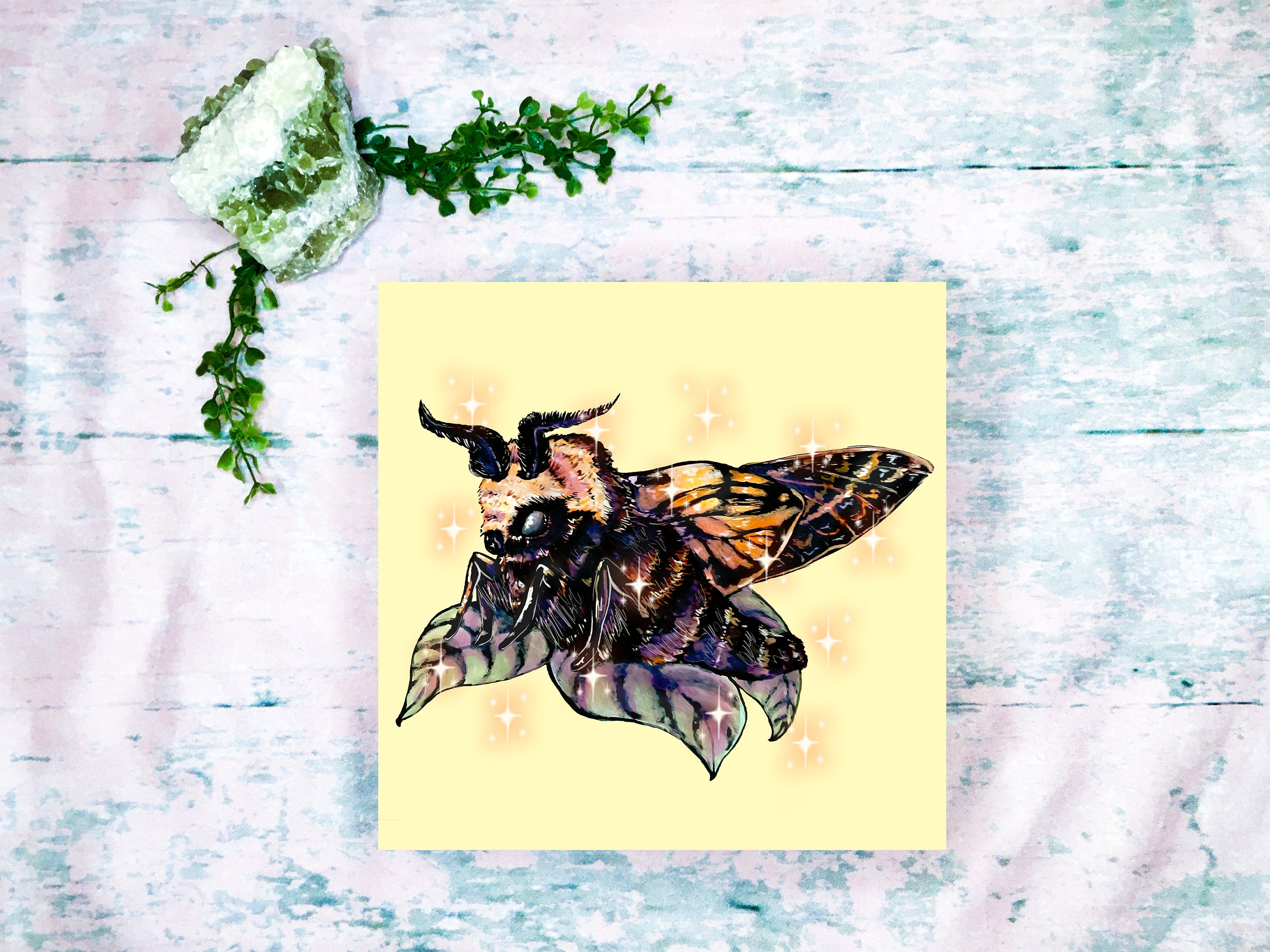 Fuzzy Moths Set of Six 6 8x8 Inch Square Gouache Digital | Etsy