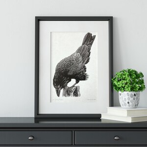 Curious Raven. Limited Original Lino Print Artwork From Hand Carved ...