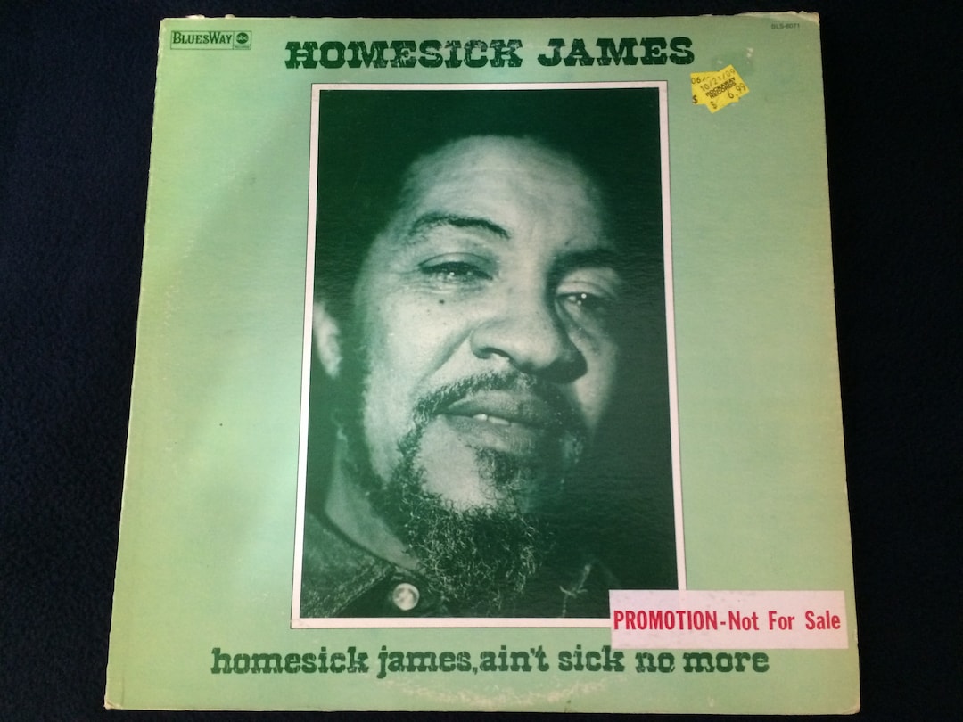 Homesick James Vinyl LP - Etsy