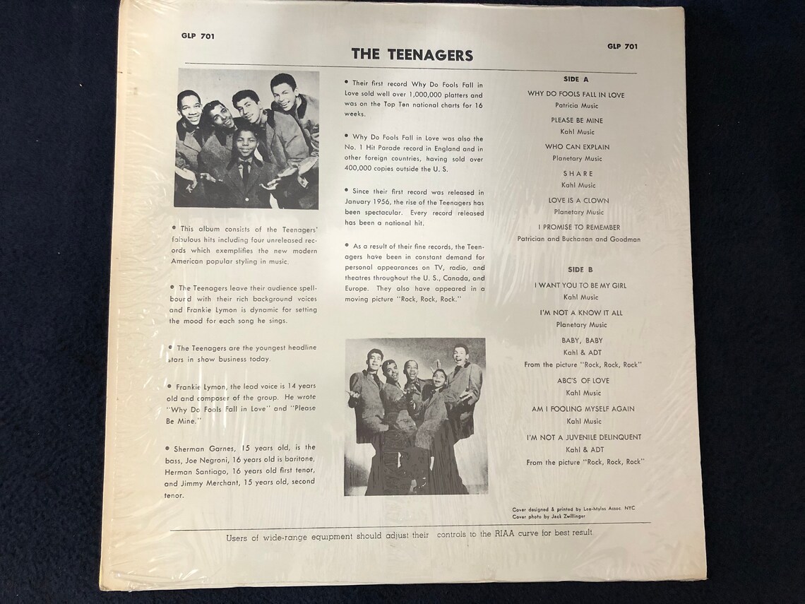 The Teenagers Vinyl LP - Etsy