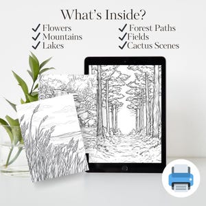 15 Calming Nature Scenes – Printable Adult Coloring Pages PDF ...
