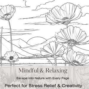 15 Calming Nature Scenes – Printable Adult Coloring Pages PDF ...