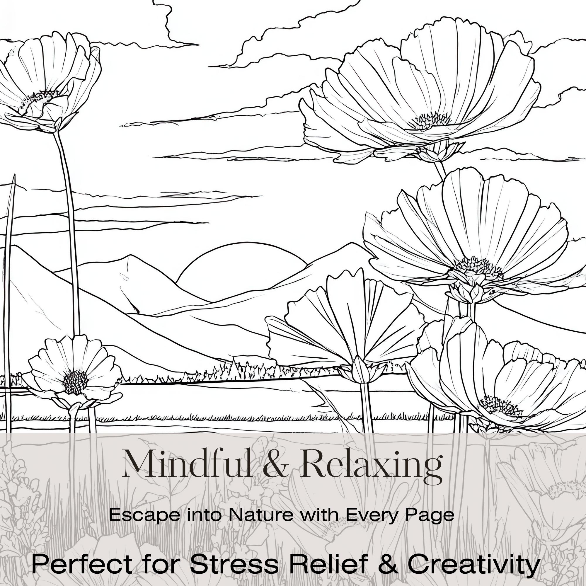15 Calming Nature Scenes – Printable Adult Coloring Pages PDF ...