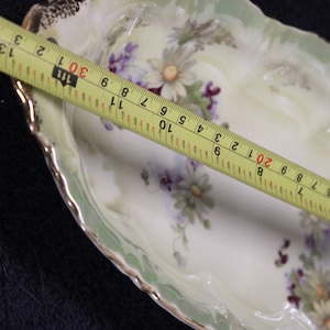 Vintage Victorian Style Stinthal Hand Painted Porcelain Oval Dish ...