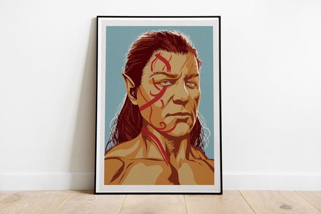 Halsin From Baldurs Gate 3 Portrait Pop Art Inspired Poster - Etsy