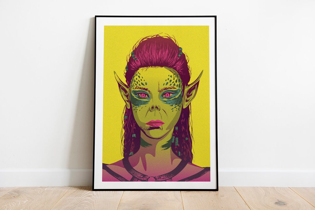 Lae'zel From Baldurs Gate 3 Portrait Pop Art Inspired Poster - Etsy