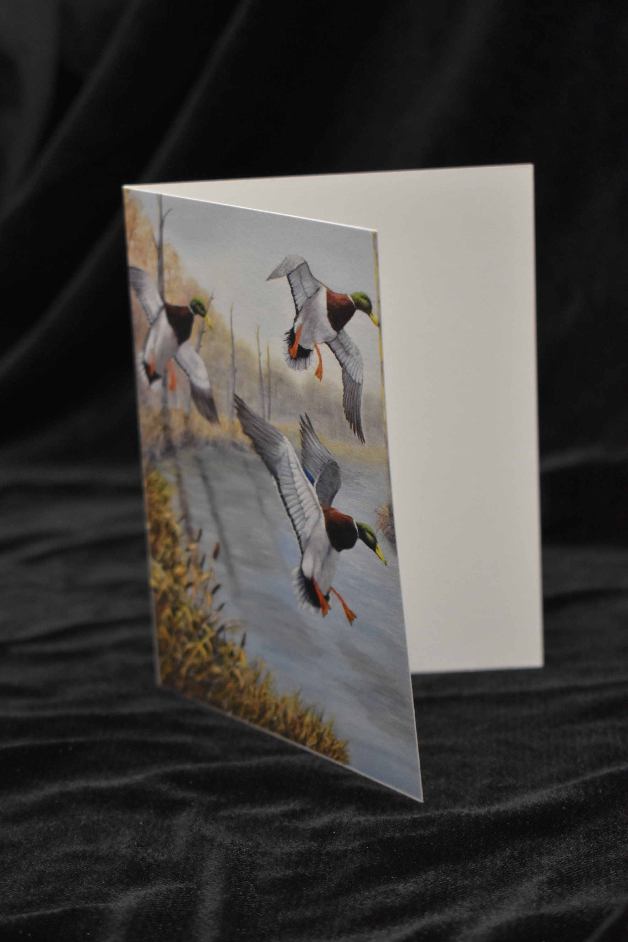 Mallards in Flight Blank Note Card - Etsy
