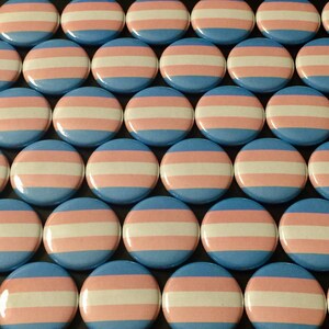Transgender Trans Classic Pride Flag Pin Badge Pinback Button ~ 1" Pin ...