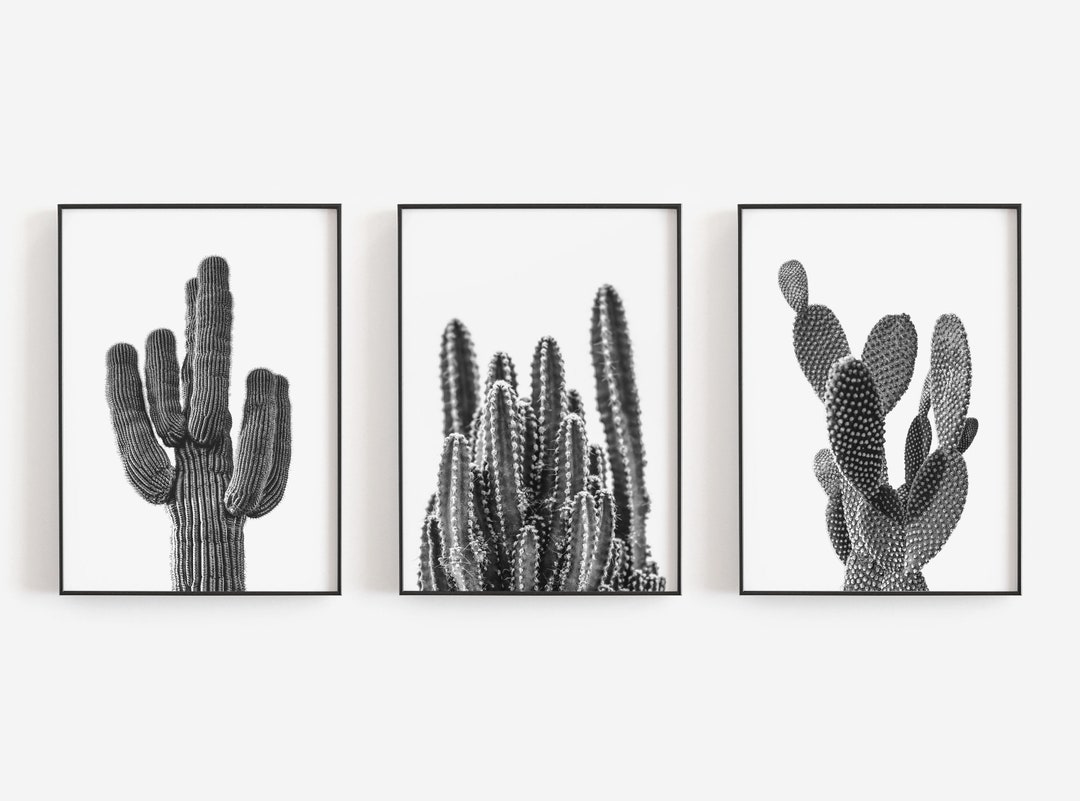 Cactus Prints Set of 3: Black and White Boho Wall Art (digital Download ...