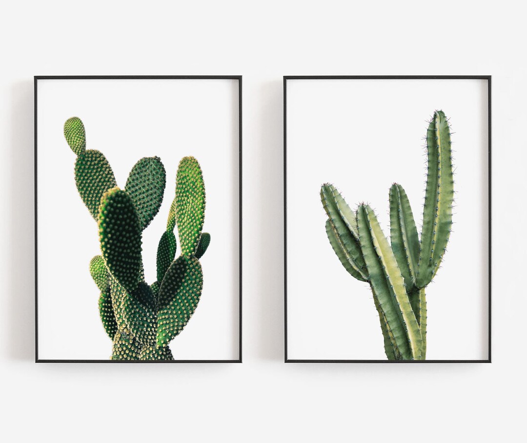 Cactus Prints, Set of 2 Prints, Cactus Wall Art, Desert Prints, Boho ...