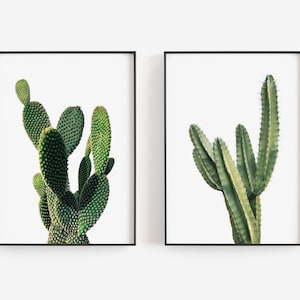 Cactus Prints, Set of 2 Prints, Cactus Wall Art, Desert Prints, Boho ...