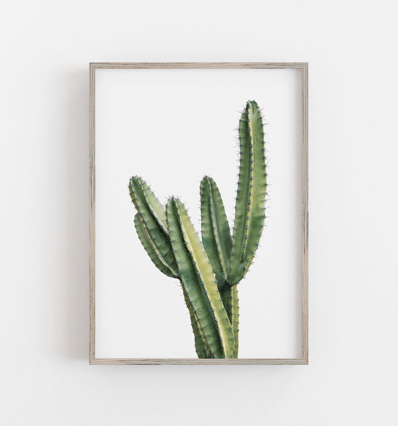 Cactus Prints, Set of 2 Prints, Cactus Wall Art, Desert Prints, Boho ...