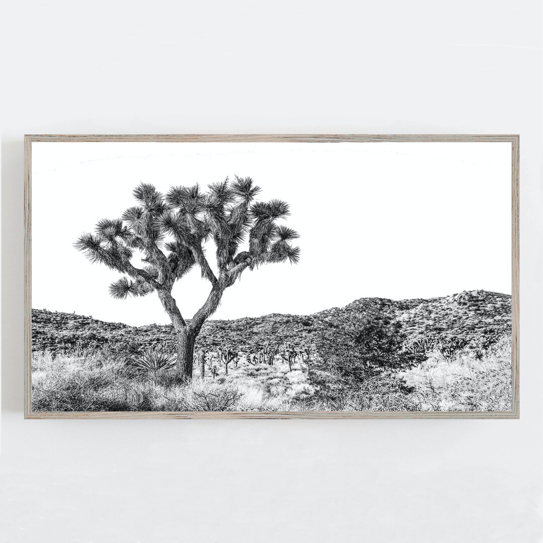 Joshua Tree Frame TV Art, Joshua Tree Art, Frame TV Art, Black and ...