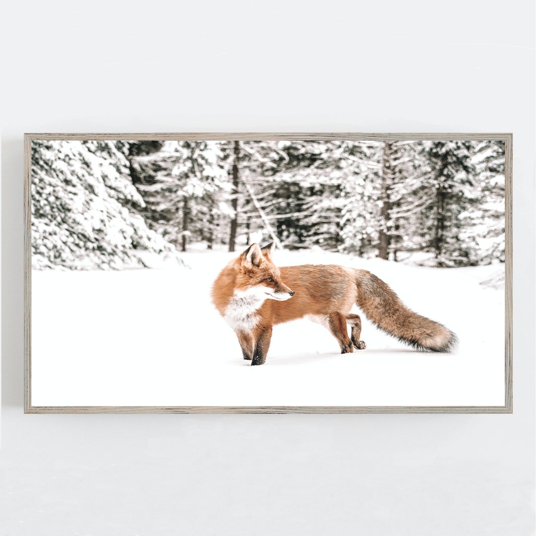 Fox Frame TV Art, Fox Wall Art, Fox in Snow Art, Winter Wall Decor ...
