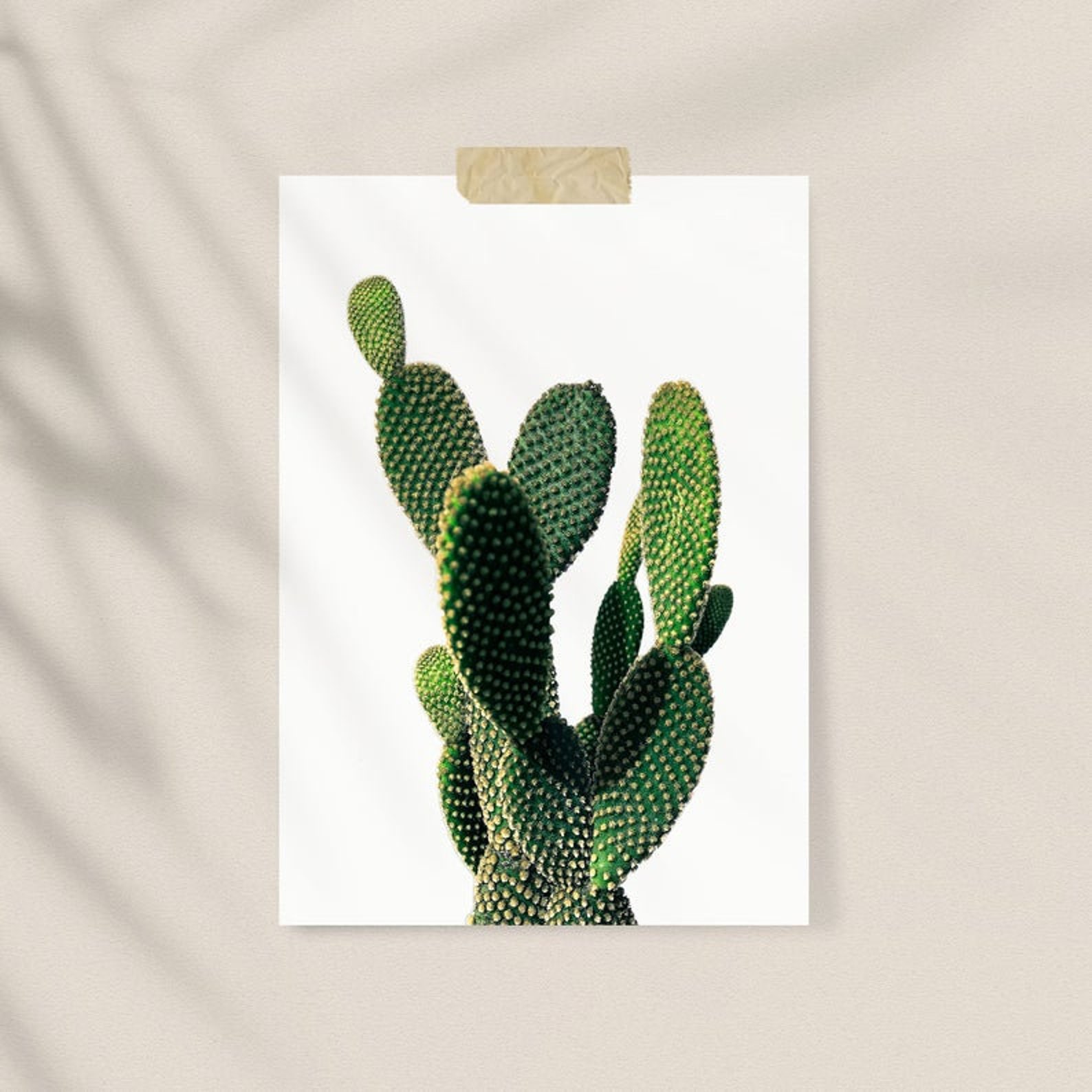 Cactus Prints, Set of 2 Prints, Cactus Wall Art, Desert Prints, Boho ...