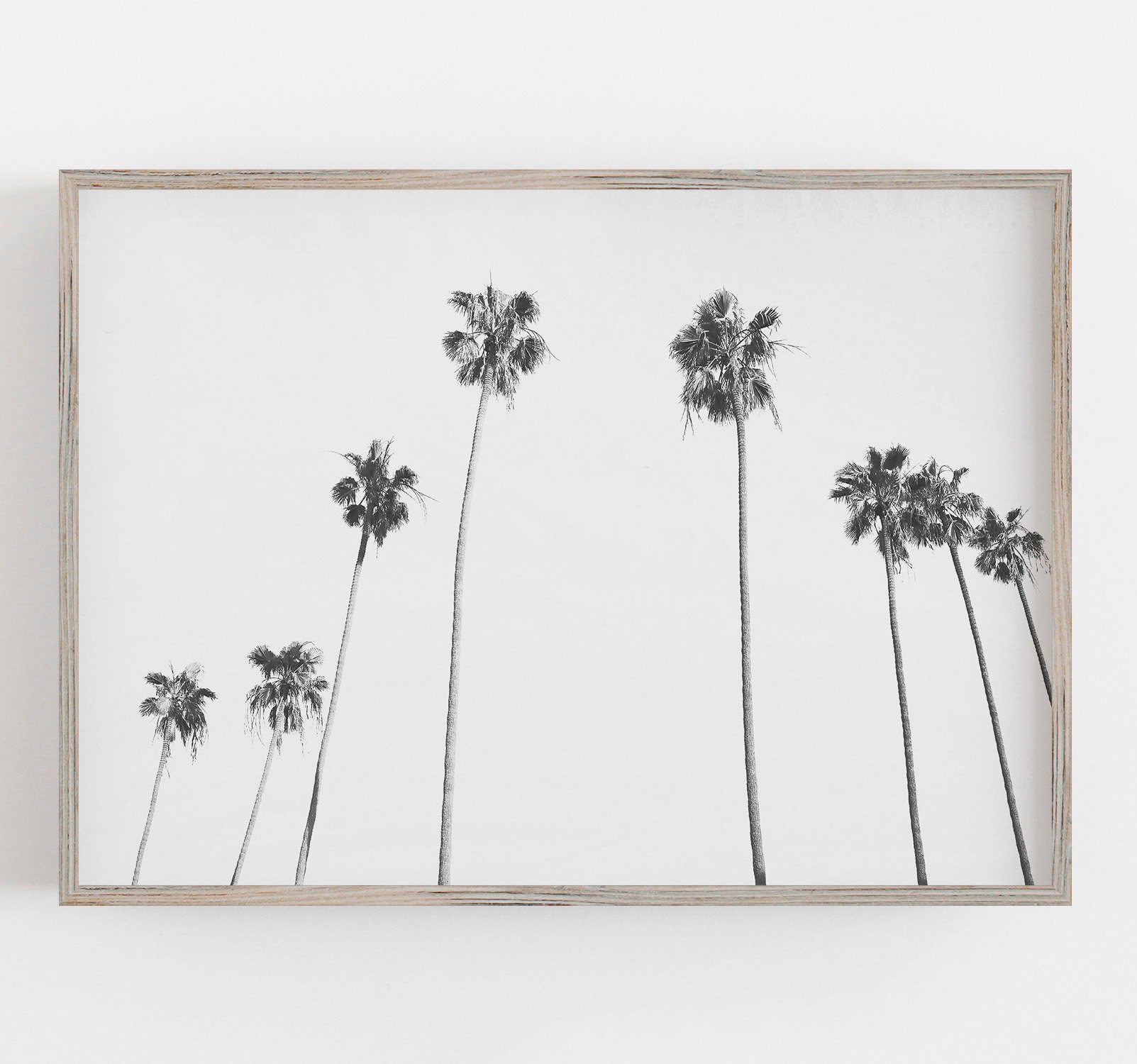 Palm Trees Wall Art Black and White Art Minimalist Art Palm | Etsy