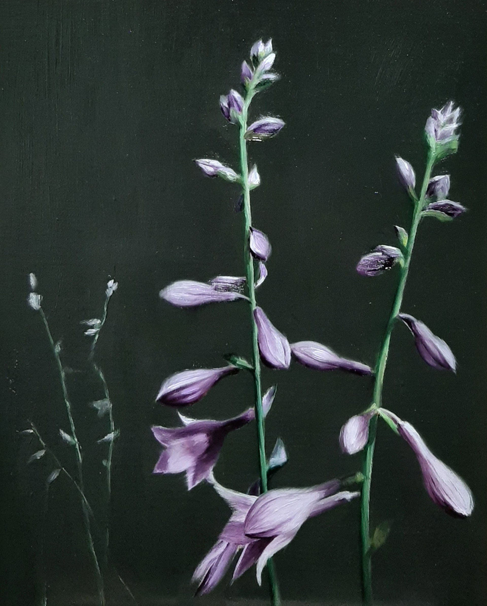 An Original Oil Painting of Hosta Flower. - Etsy