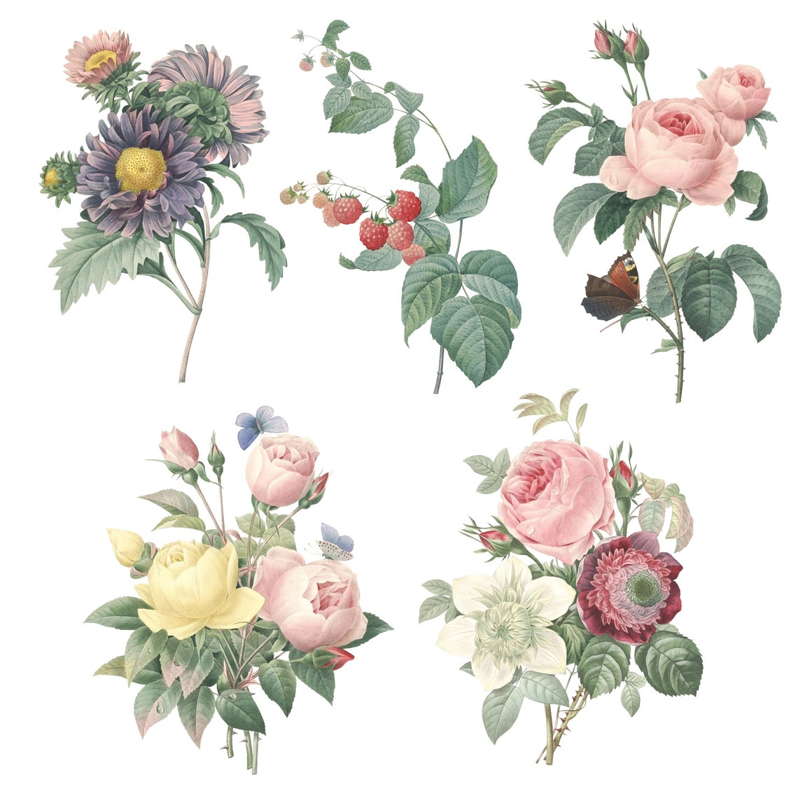 10 PNG Vintage Pastel Flower Illustrations Digital Download, Botanical ...