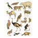 26 PNG Vintage Zoo Animal Clipart Digital Download, Animal Clip Art ...