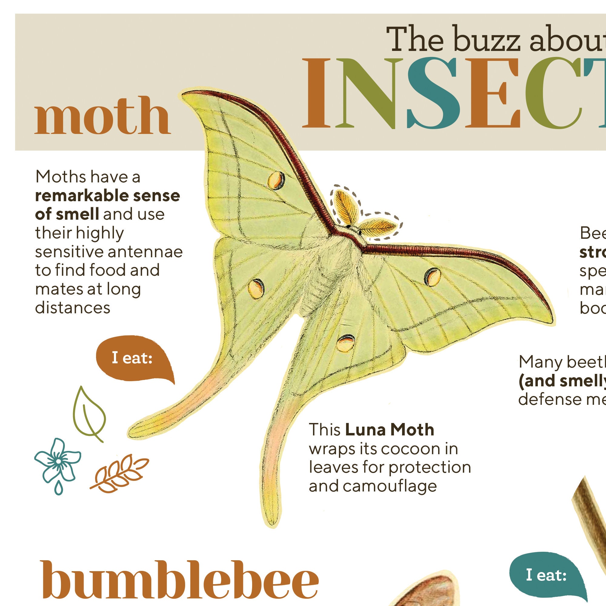 Educational Bugs Fun Facts Poster Digital Download | Insects Print ...