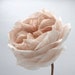 DAVID AUSTIN ROSE, Cake Topper, Wafer Paper Flower for Cake Decorations ...