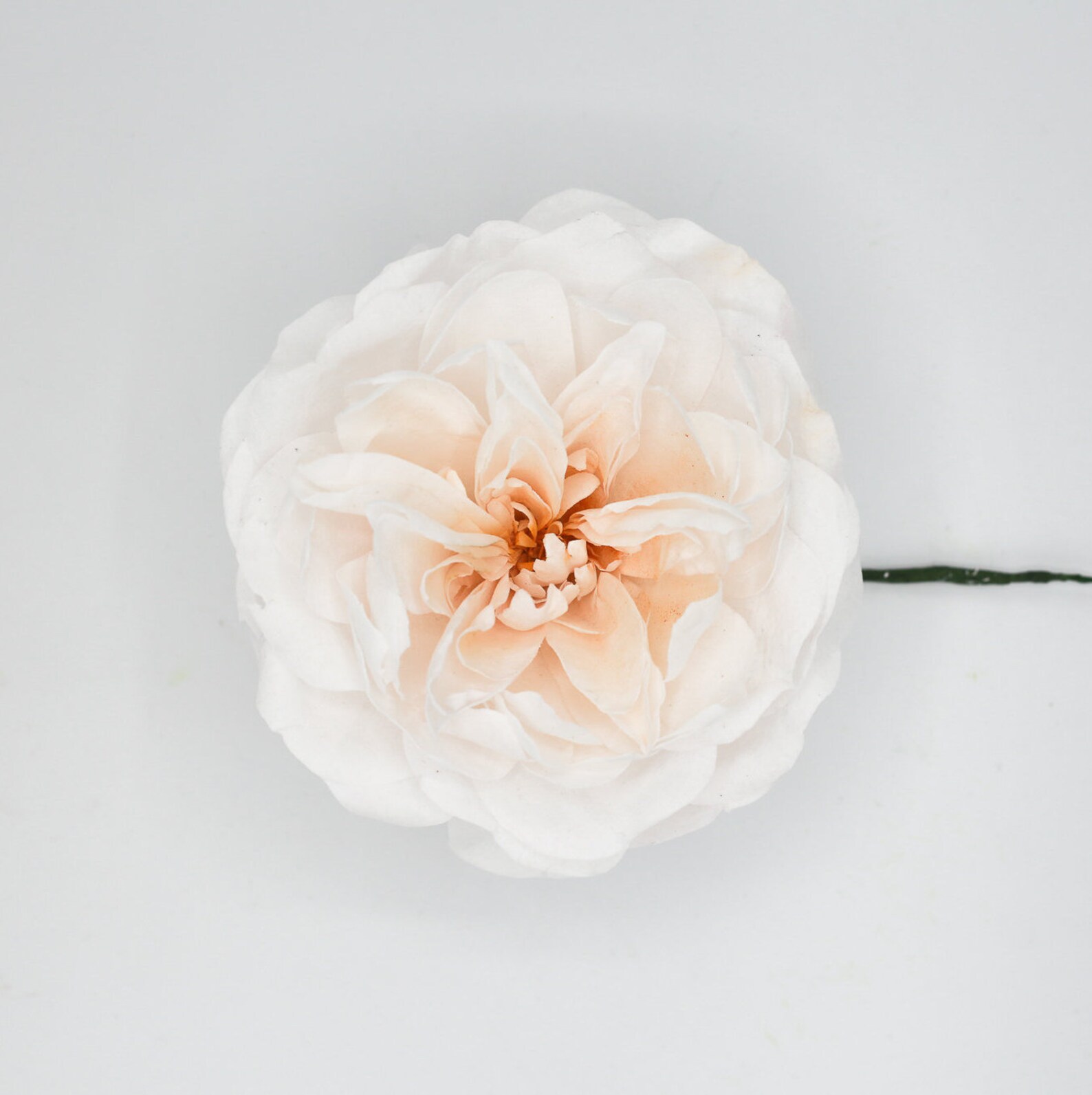 DAVID AUSTIN Rosewafer Paper Flower Torten Deko Cake | Etsy