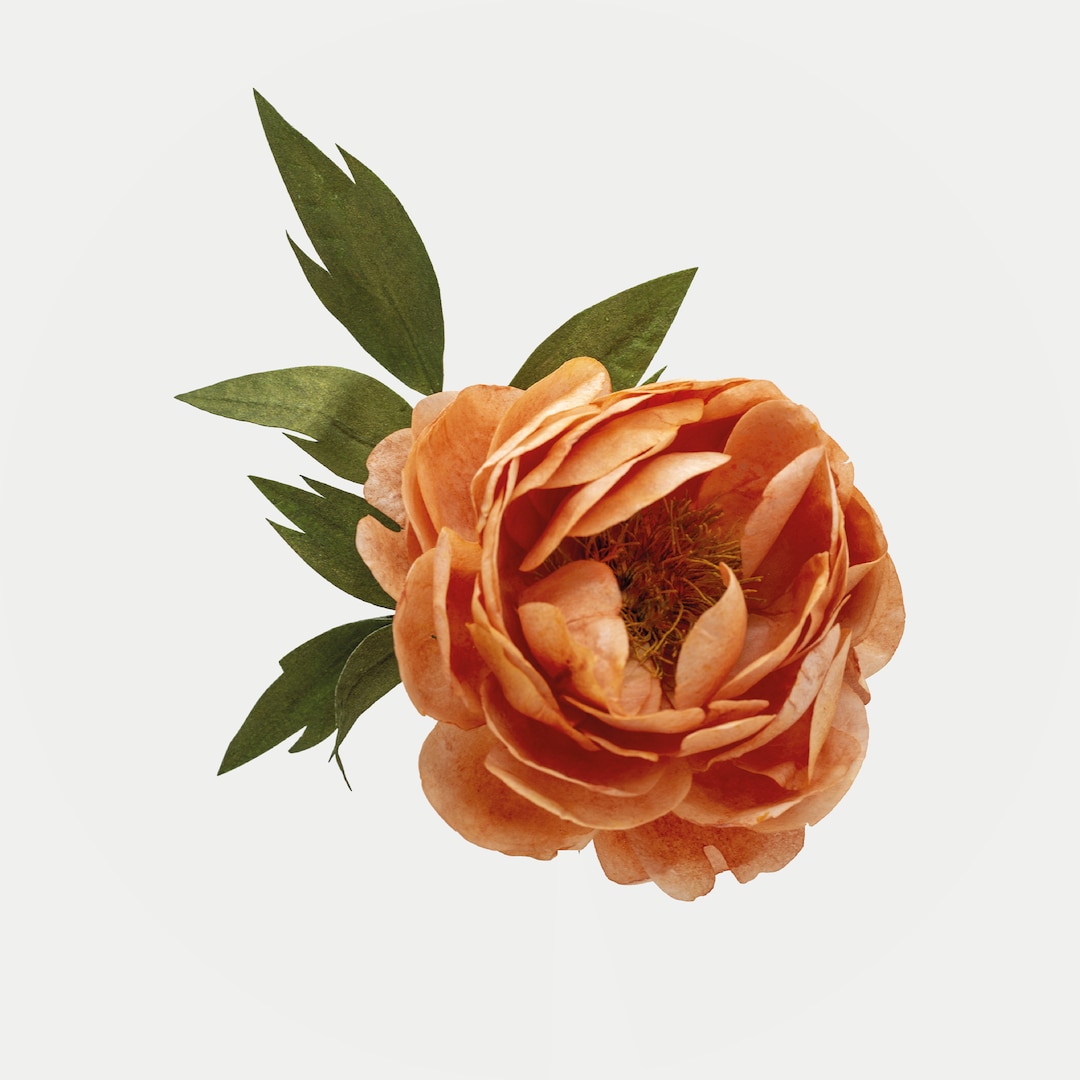 Coral Peony Wafer Paper Flower: Edible Cake Topper - Etsy