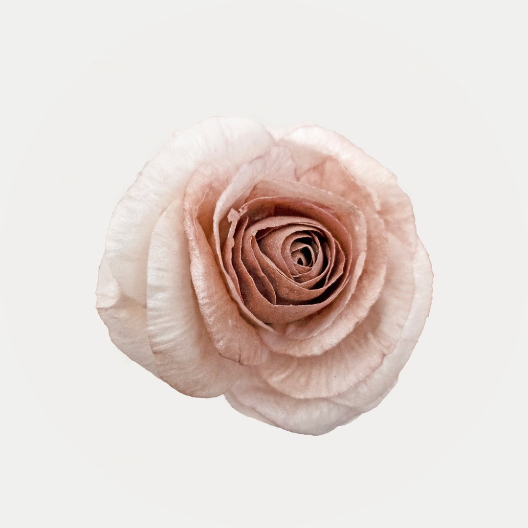 ROSE Wafer Paper , Cake Topper, Edible Flowers, Wedding Cake Decor ...