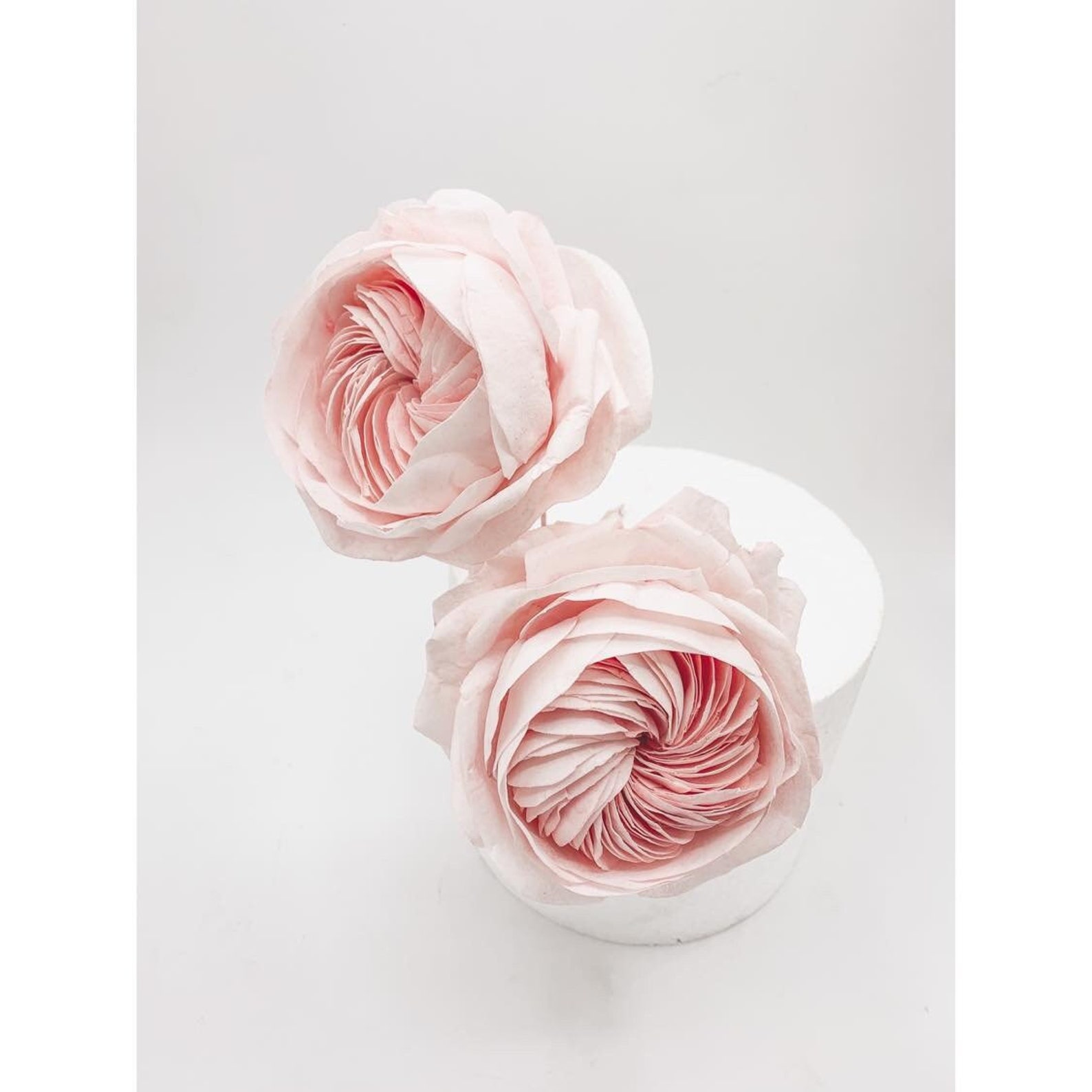 DAVID AUSTIN Rosewafer Paper Flower Torten Deko Cake | Etsy