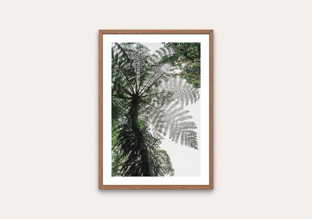 Rainforest Tree Print - Nature Wall Art, Digital Download, Travel ...