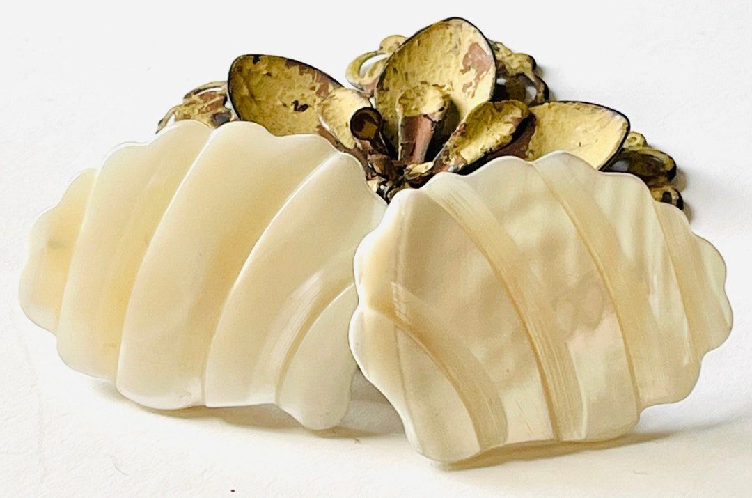 Albacore Seashell Design Stud Earrings - Etsy