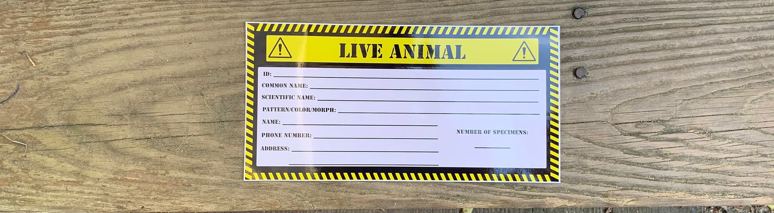 Live Animal Sticker 8in X 4in - Etsy