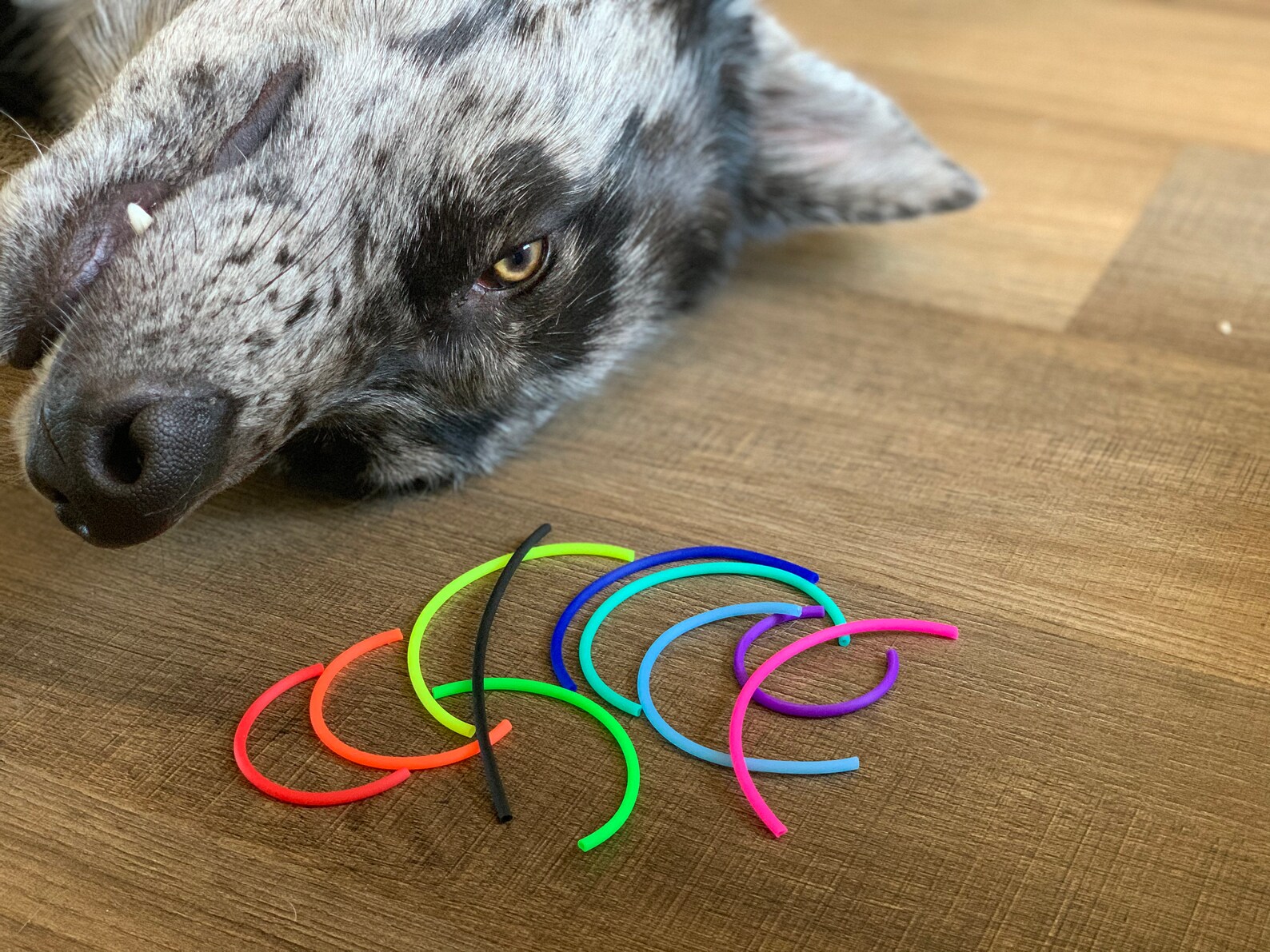 Endotracheal Tube Ties - Etsy