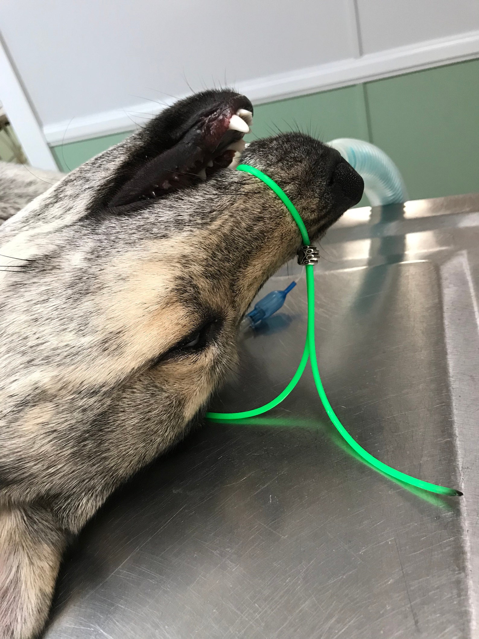 Endotracheal Tube Ties - Etsy