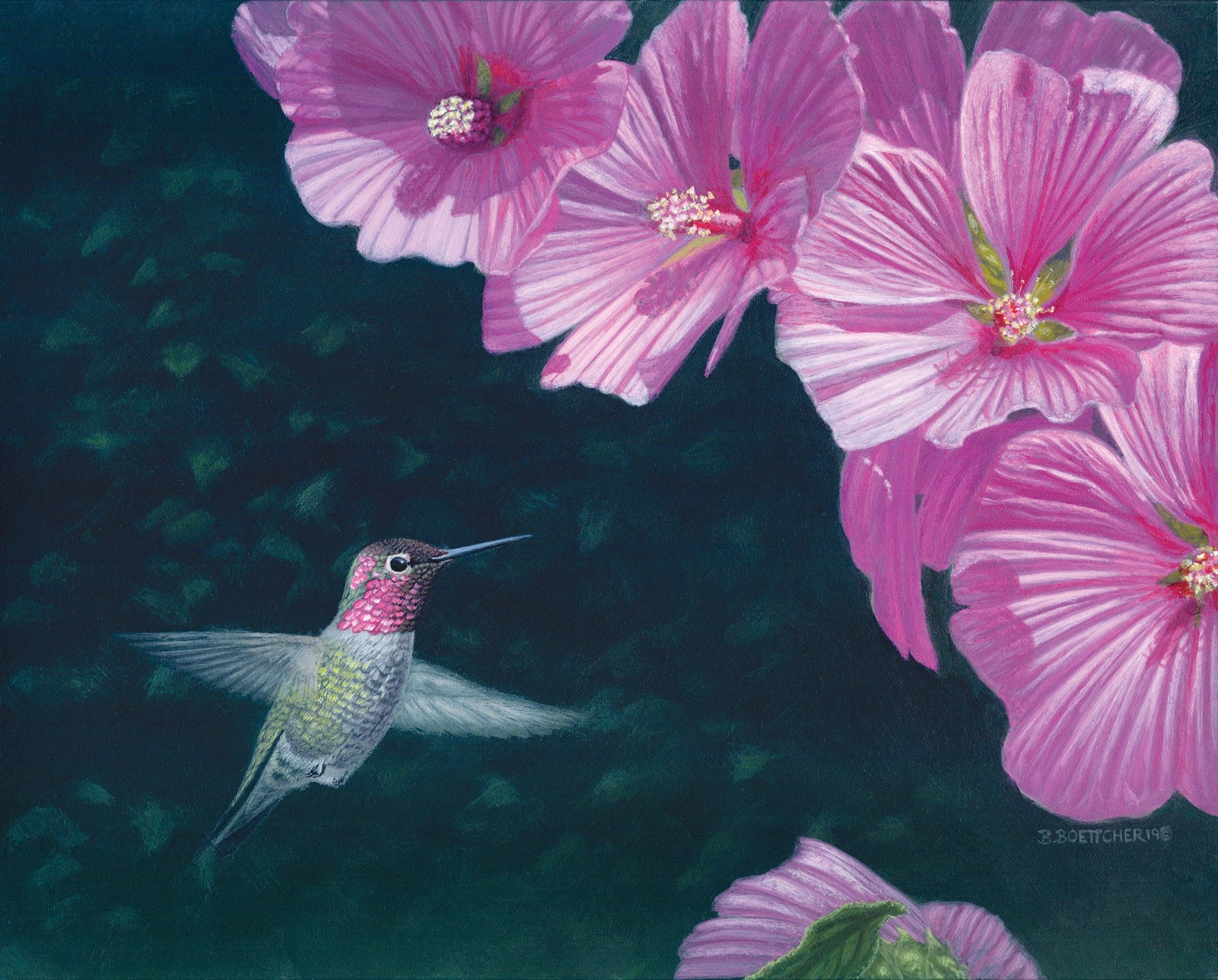 Anna's Hummingbird and Hollyhock - Etsy