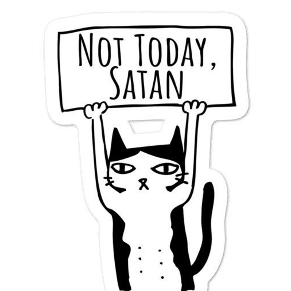 ProtestCat - Etsy