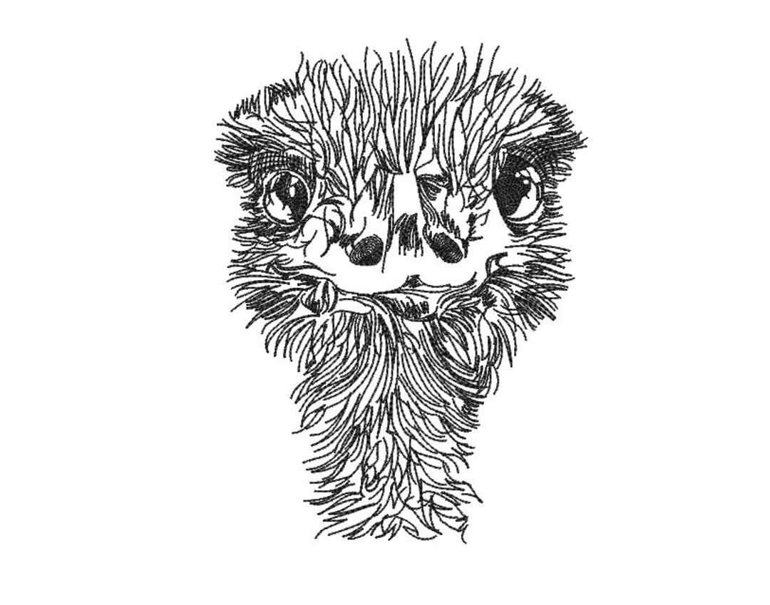 Emu - Redwork Sketch Machine Embroidery Design Pattern – 5 Sizes 9X12 ...