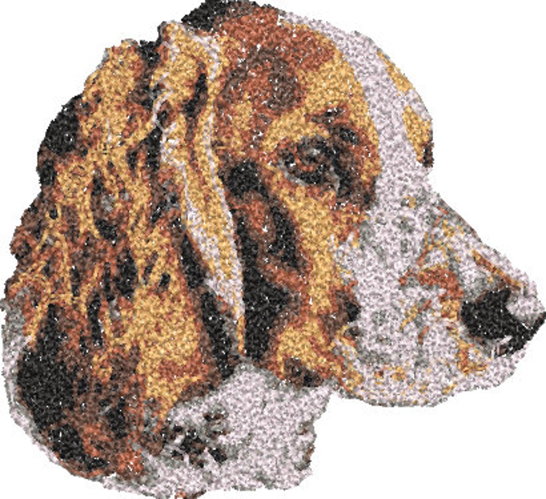 Springer Spaniel Photostitch Machine Embroidery Design Instant Download ...