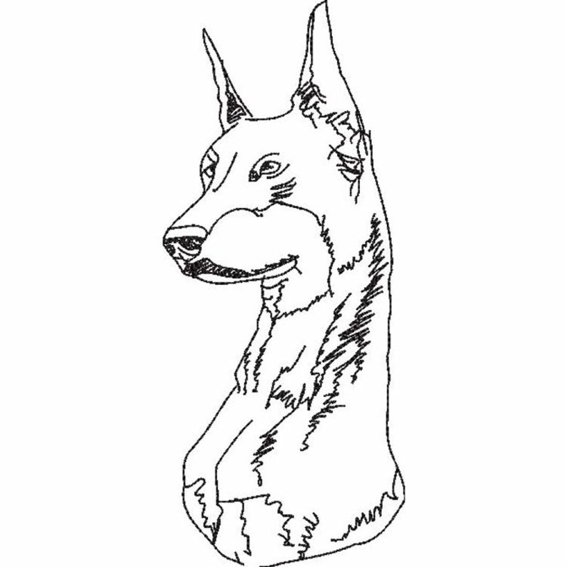 Doberman Dog Sketch Machine Embroidery Design 3 Sizes Instant - Etsy