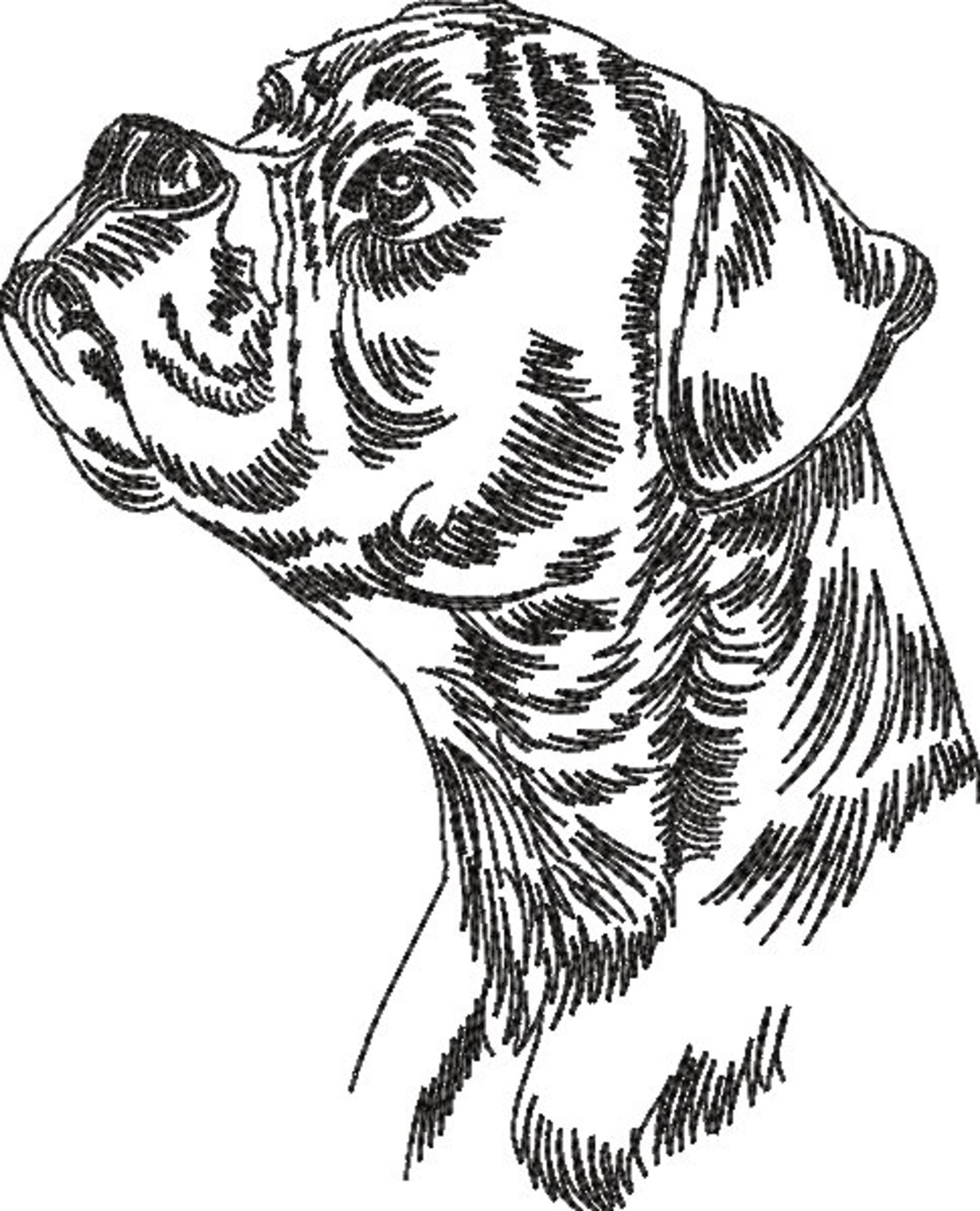 Boxer Dog Redwork Sketch Machine Embroidery Design Pattern - Etsy