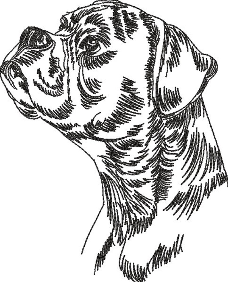 Boxer Dog Redwork Sketch Machine Embroidery Design Pattern - Etsy