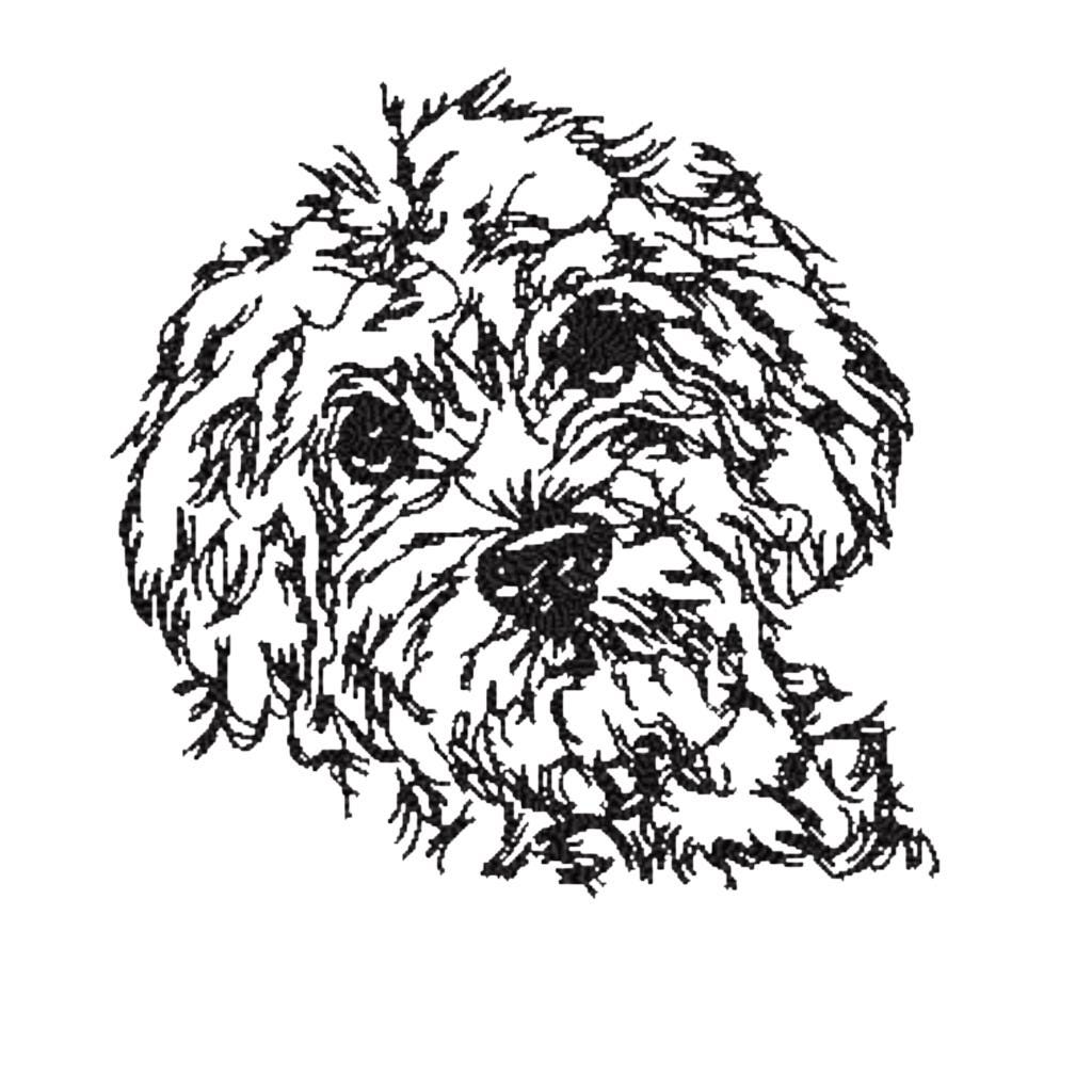 CAVAPOO Dog Embroidery Design – Redwork Sketch Pattern – 5 Hoop Sizes ...