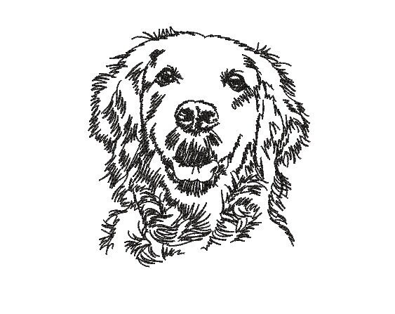 Golden Retriever Labrador Redwork Sketch Machine Embroidery - Etsy