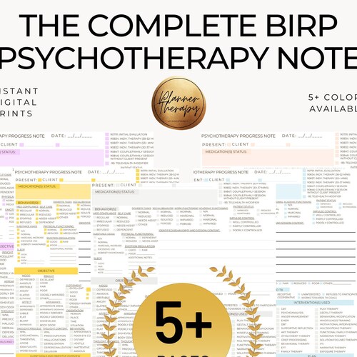 BIRP Note Psychotherapy PROGRESS Note Template With MSE - Etsy