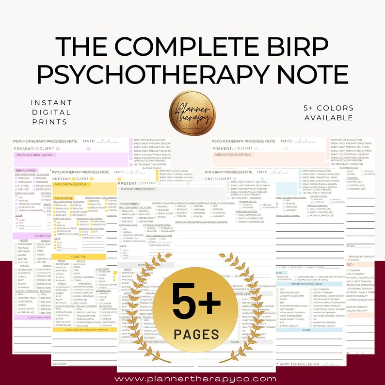 BIRP Note Psychotherapy PROGRESS Note Template With MSE Etsy