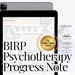 BIRP Note Psychotherapy PROGRESS Note Template With MSE - Etsy