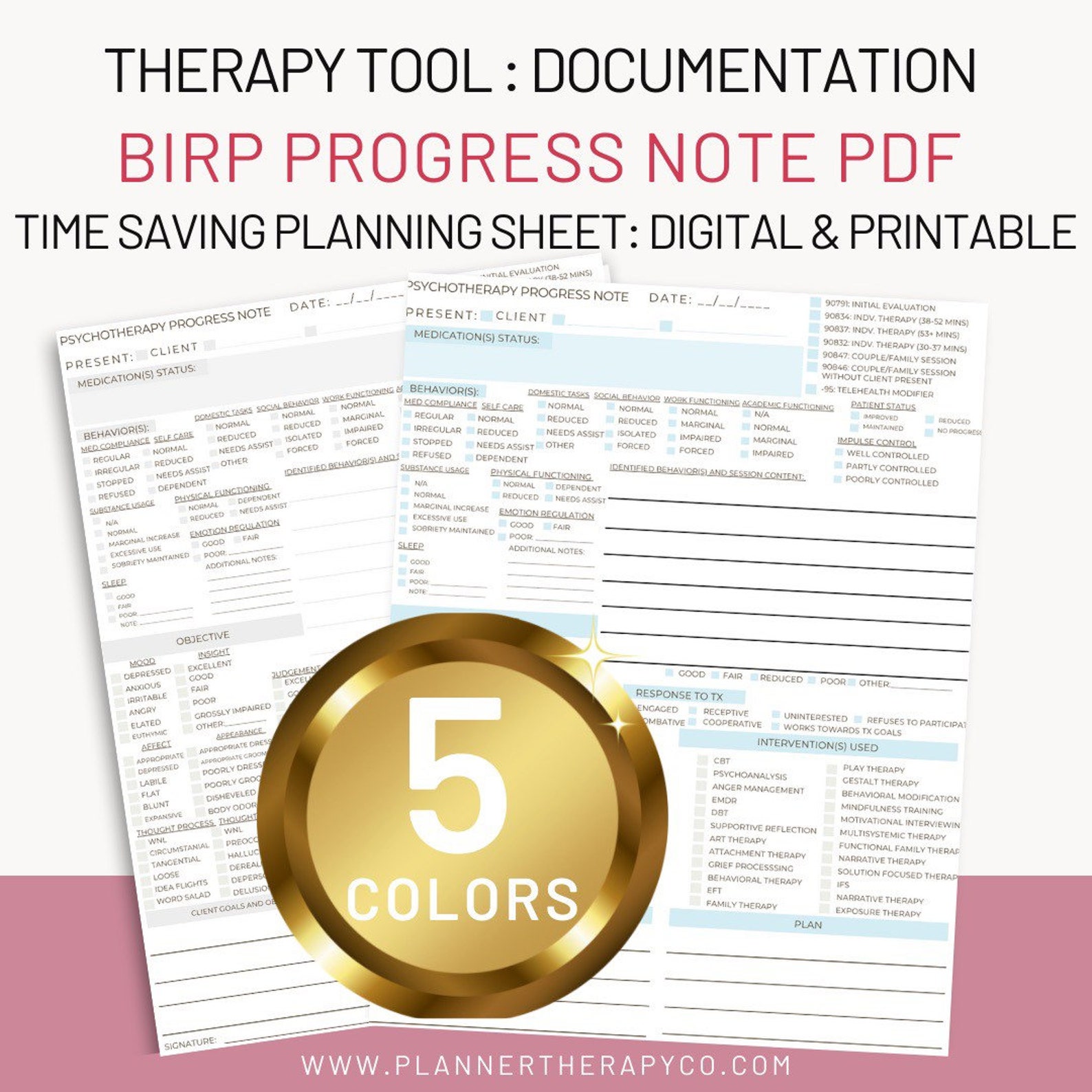 BIRP Psychotherapy Progress Note Template With MSE (digital Download ...