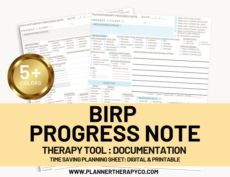 BIRP Psychotherapy Progress Note Template With MSE (digital Download ...
